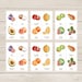 Bilingual Fruit Flashcards English and Spanish Montessori 3-part Cards ...