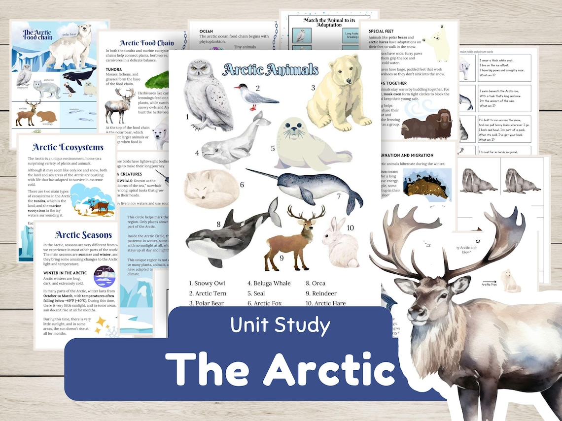 Arctic Unit Study With Comprehension Passages and Worksheets, Arctic ...
