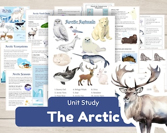 Arctic Unit Study With Comprehension Passages and Worksheets, Arctic ...
