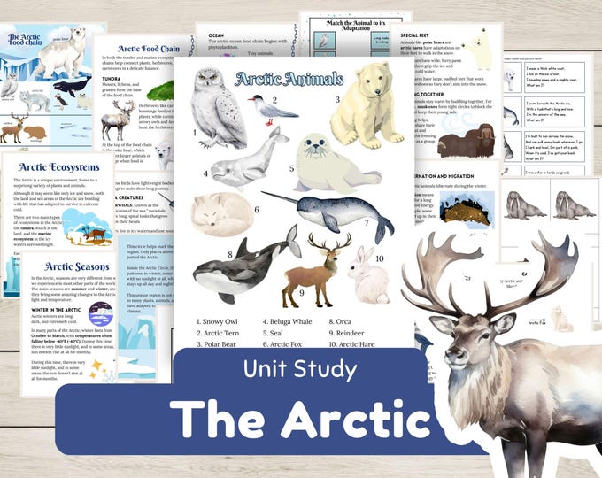 Arctic Unit Study With Comprehension Passages and Worksheets, Arctic ...