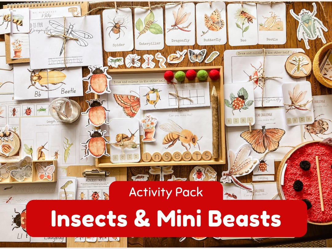 Bugs Flash Cards and Activity Pack Watercolor Design Mini Beast ...
