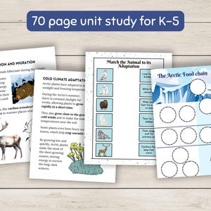 Arctic Unit Study With Comprehension Passages and Worksheets, Arctic ...