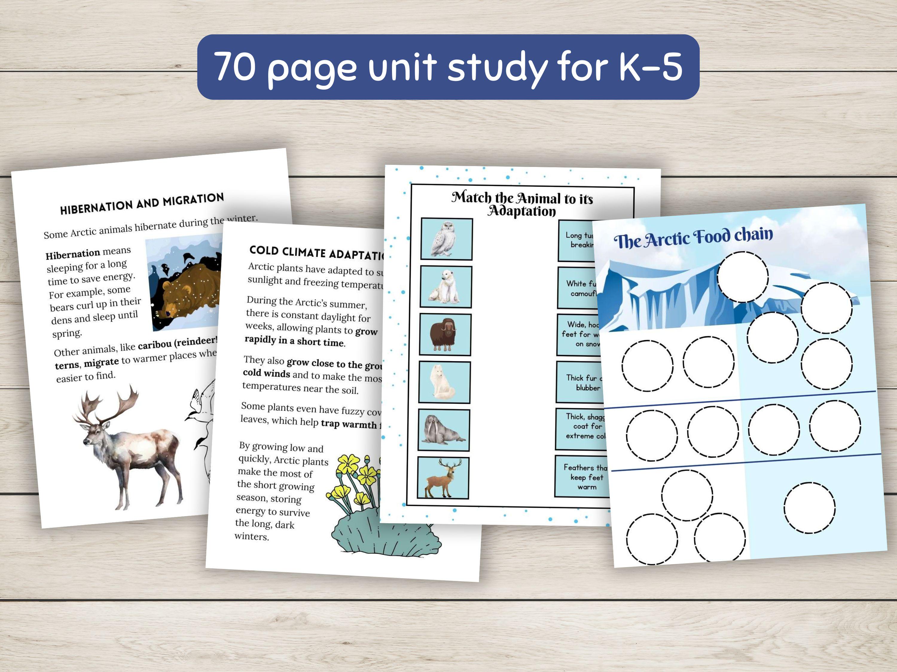 Arctic Unit Study With Comprehension Passages and Worksheets, Arctic ...