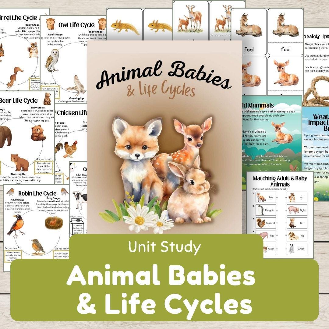 Animal Babies Life Cycles Spring Unit Study Animal Mother Baby Match, 3 ...