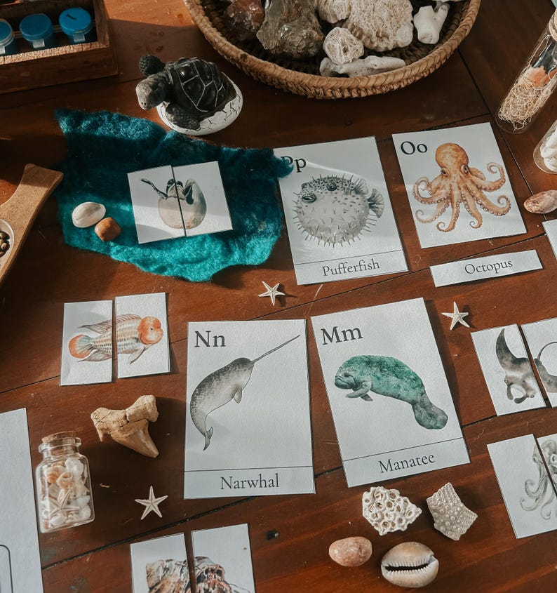 Ocean ABC Flash Cards and Worksheets Watercolor Design Activities Sea ...