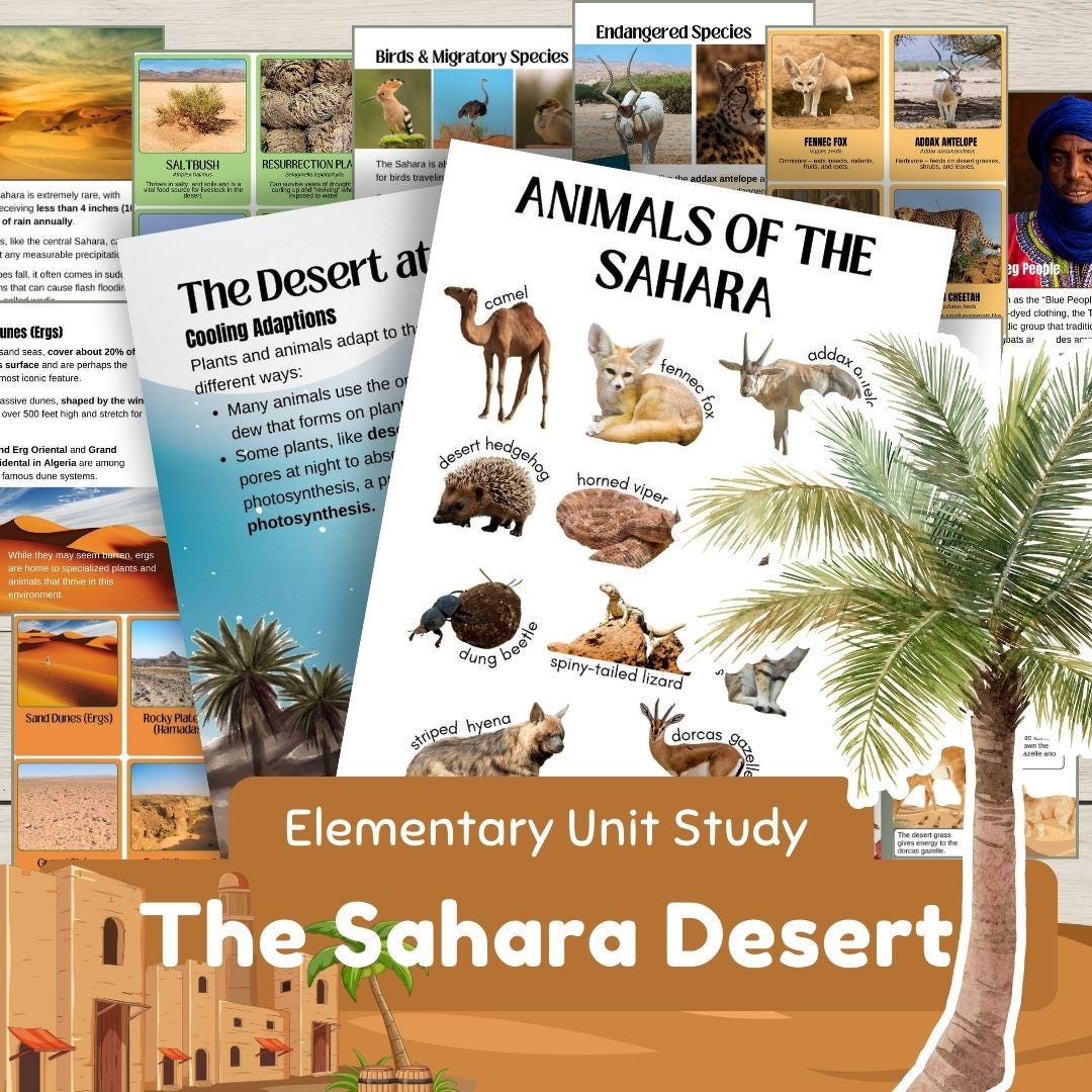Sahara Desert Unit Study- Explore This Desert Biome's Geography ...