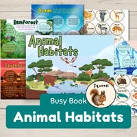 Animal Habitats Sorting Puzzle | Animal Habitat Sort Activity | Animal ...