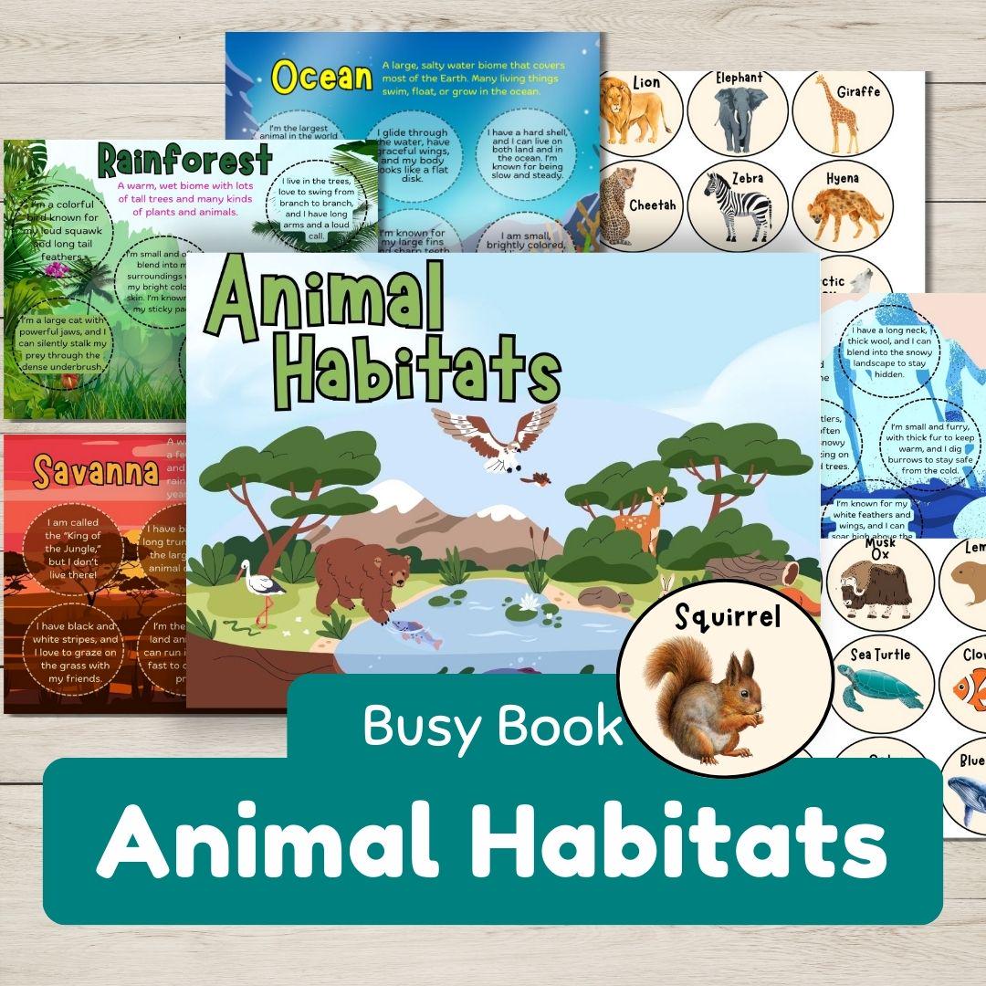 Animals Habitat Sorting Mats, Habitat Matching Worksheets, 6 Major ...