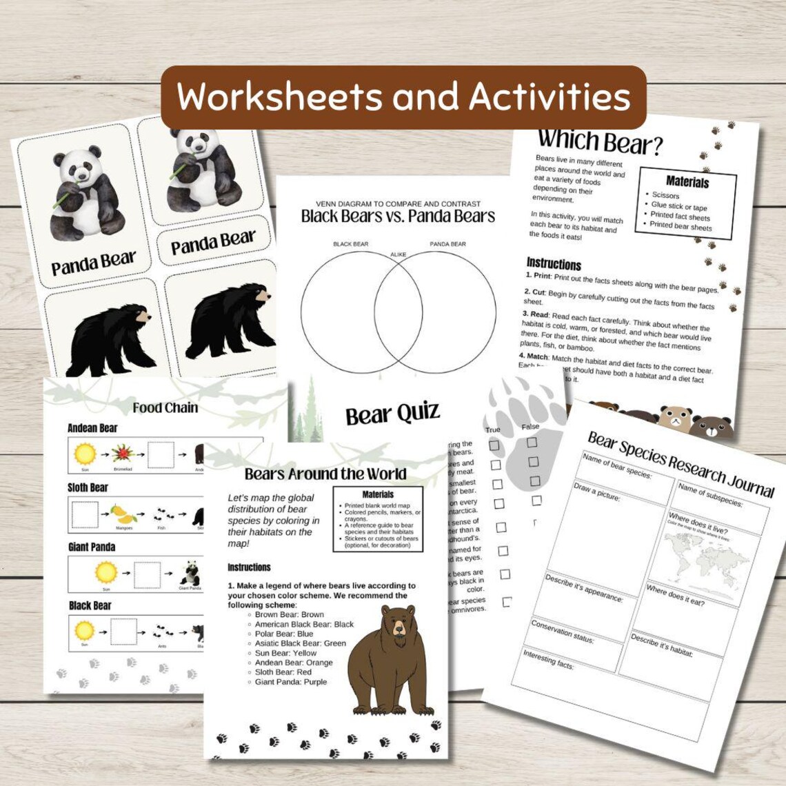 Bears Unit Study, Life Cycle, Anatomy, Types of Bears, Behavior ...