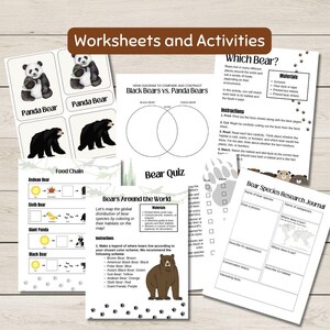 Bears Unit Study, Life Cycle, Anatomy, Types of Bears, Behavior ...