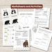 Bears Unit Study, Life Cycle, Anatomy, Types of Bears, Behavior ...