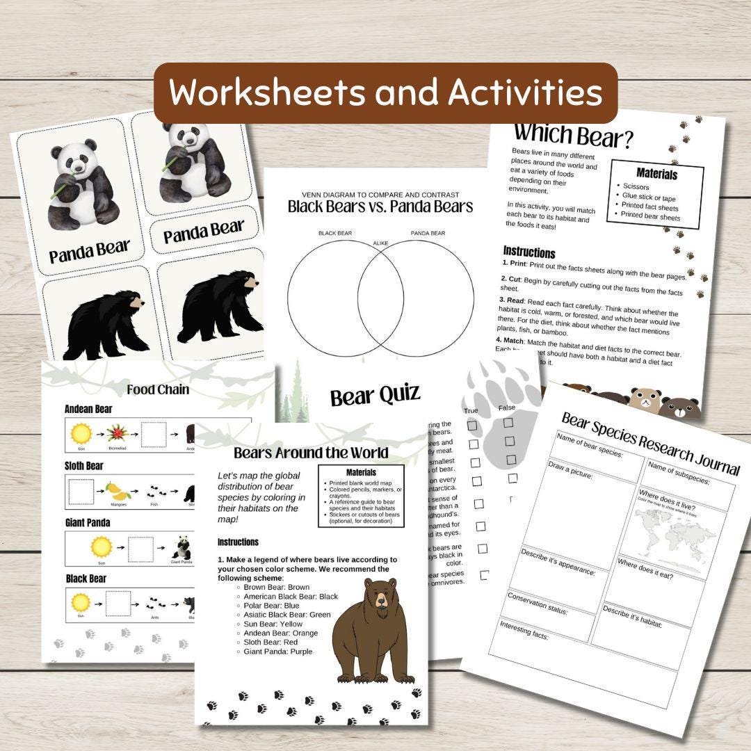 Bears Unit Study, Life Cycle, Anatomy, Types of Bears, Behavior ...