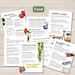 Survival Skills Unit Study for Summer Camp, Girl Scouts, Forest School ...
