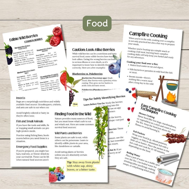 Survival Skills Unit Study for Summer Camp, Girl Scouts, Forest School ...