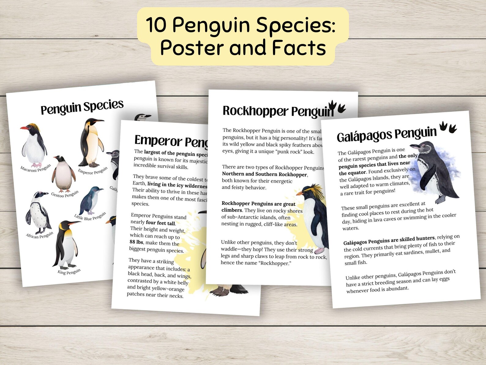 Penguin Unit Study With Comprehension Passages and Worksheets About Penguin Species Adaptations ...