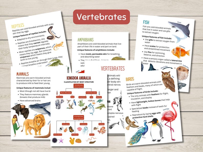 Animal Classification Unit Study Worksheets, Activities, With Classes ...