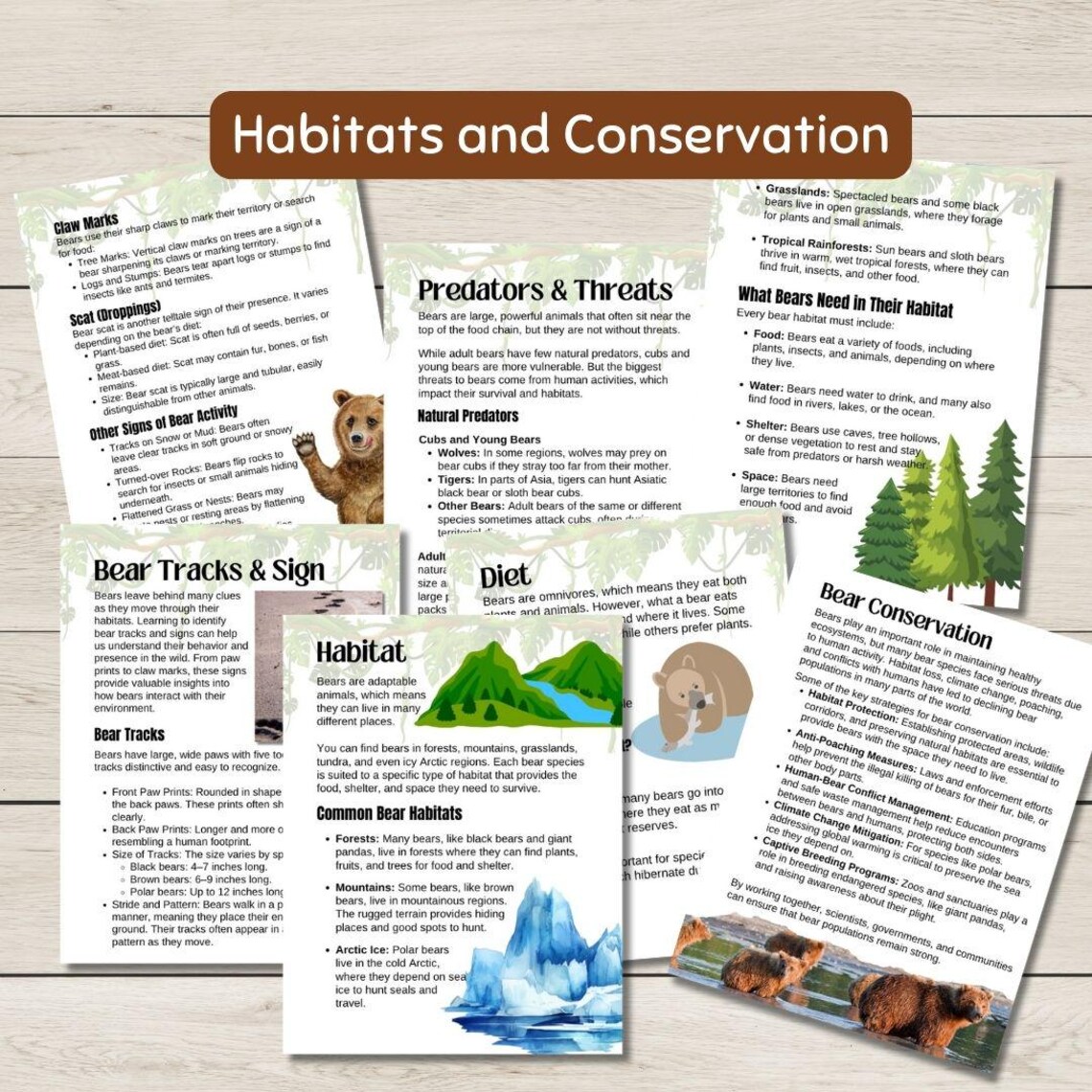 Bears Unit Study, Life Cycle, Anatomy, Types of Bears, Behavior ...