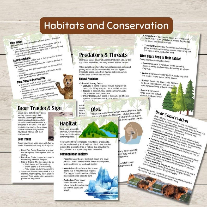 Bears Unit Study, Life Cycle, Anatomy, Types of Bears, Behavior ...
