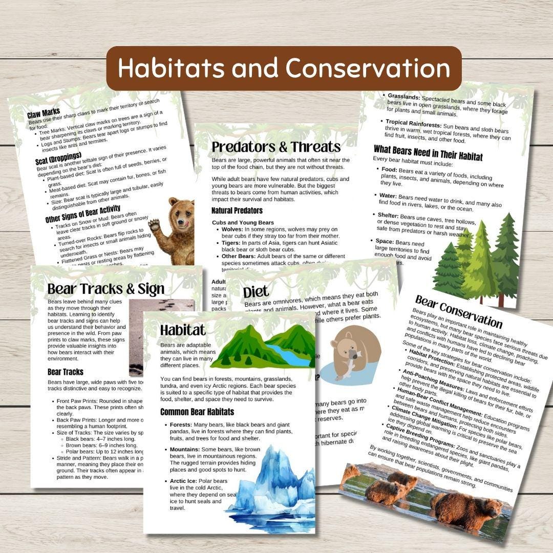 Bears Unit Study, Life Cycle, Anatomy, Types of Bears, Behavior ...