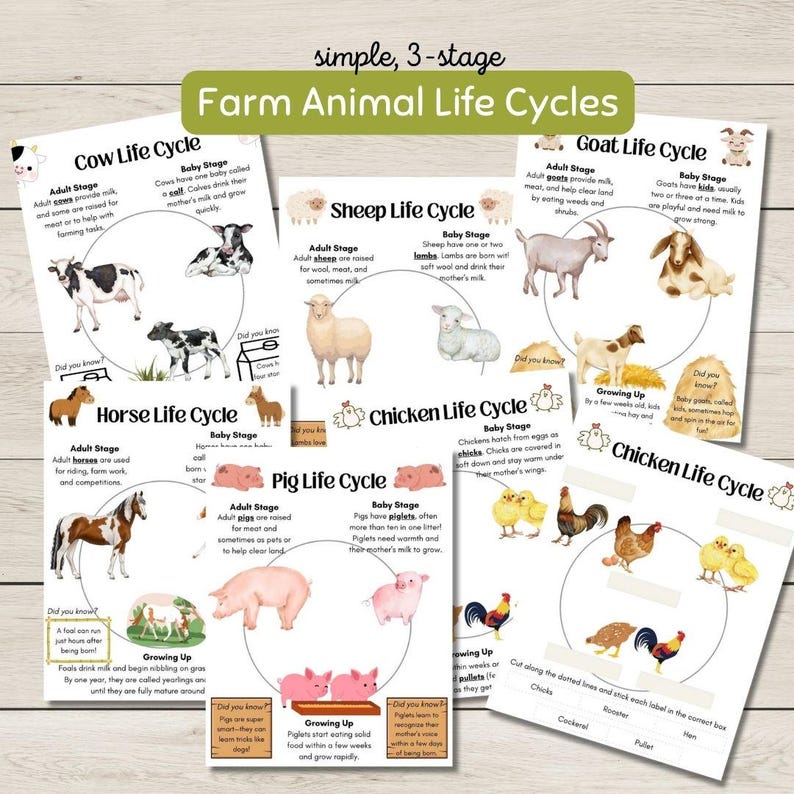 Spring Animals: Life Cycles Unit Study, Animal Mother Baby Match, 3 ...