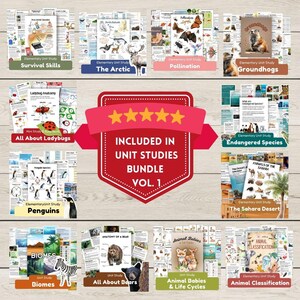 Bears Unit Study, Life Cycle, Anatomy, Types of Bears, Behavior ...