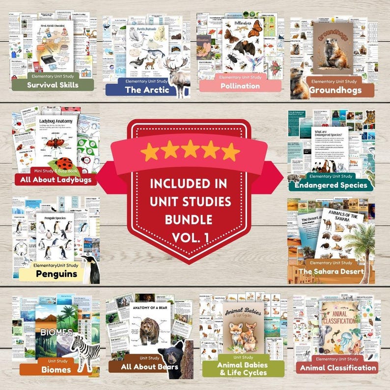 Bears Unit Study, Life Cycle, Anatomy, Types of Bears, Behavior ...