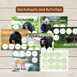 Bears Unit Study, Life Cycle, Anatomy, Types of Bears, Behavior ...