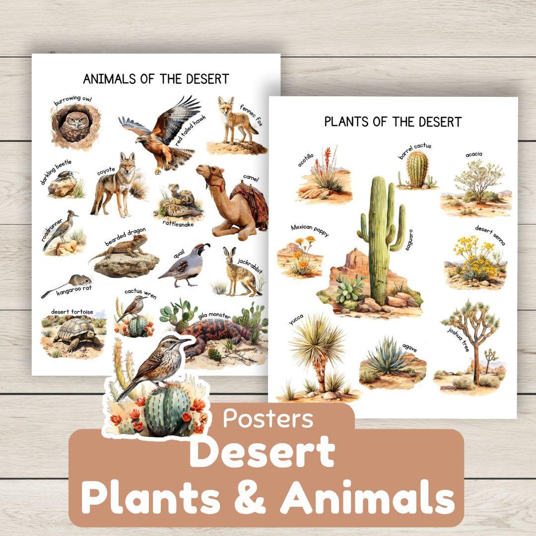 Desert Animals and Desert Plants Educational Poster Set, Homeschool ...