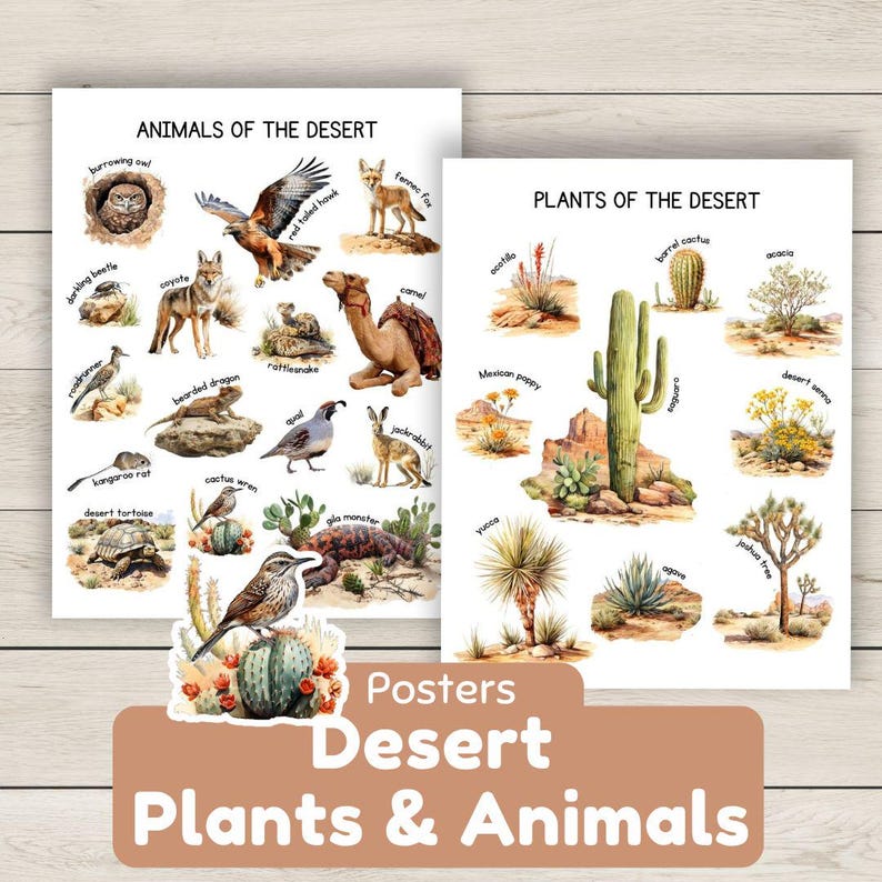 Desert Animals and Desert Plants Educational Poster Set, Homeschool ...