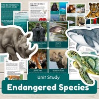Extinct Animal Research Report & Display Project (digital Download) - Etsy