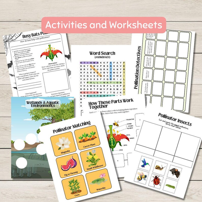 Pollination Unit Study Worksheets, Activities, 100+ Page Elementary ...