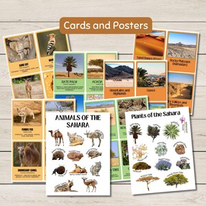 Sahara Desert Unit Study- Explore This Desert Biome's Geography ...