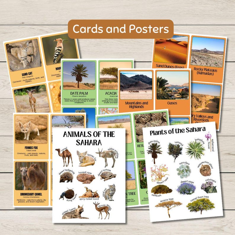 Sahara Desert Unit Study- Explore This Desert Biome's Geography ...