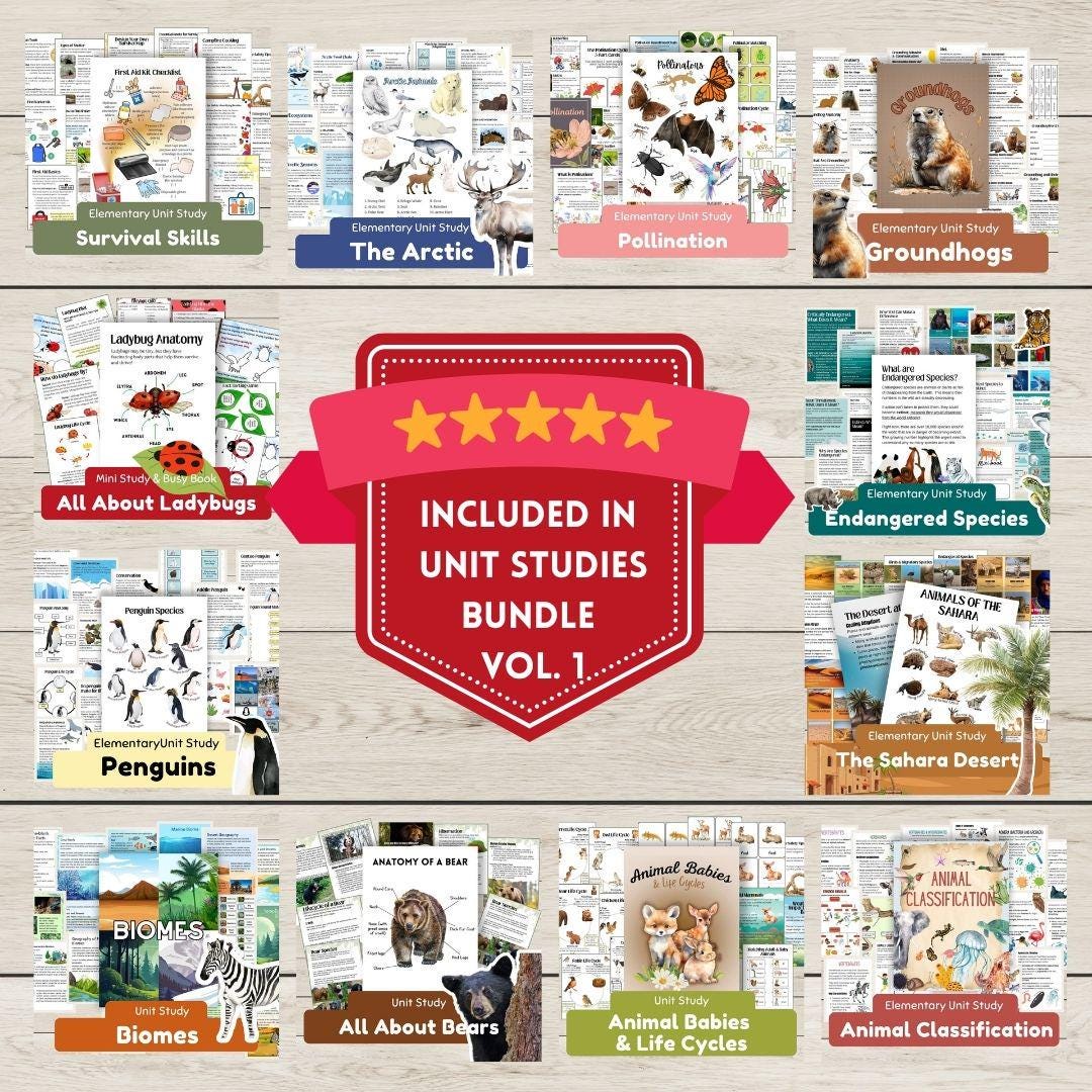 Biomes Unit Study Worksheets, Activities, With Geography and Climate ...