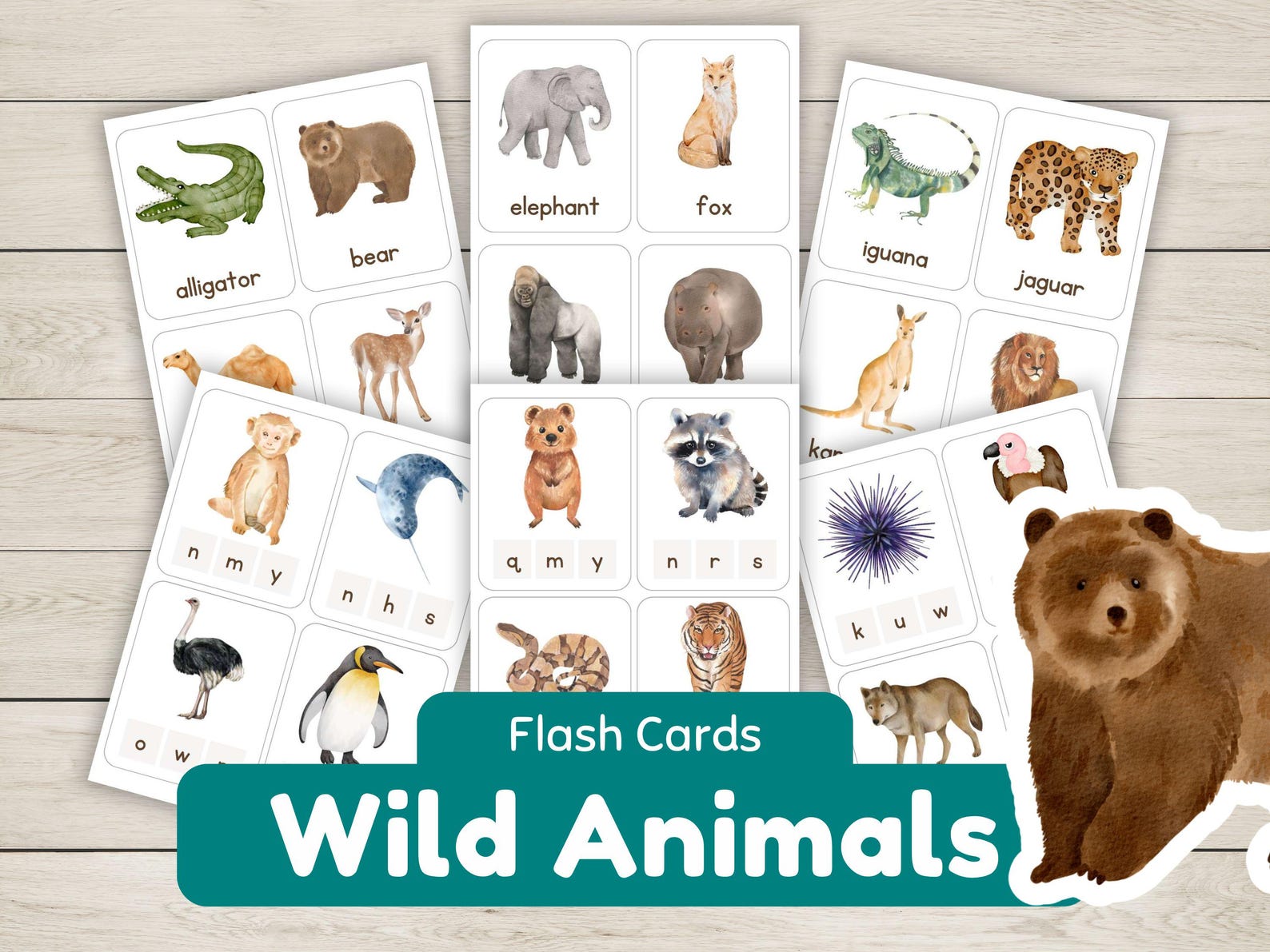 ABC Animal Flash Cards Printable Set Watercolor Design Beginning Sounds ...