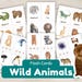 ABC Animal Flash Cards Printable Set Watercolor Design Beginning Sounds ...