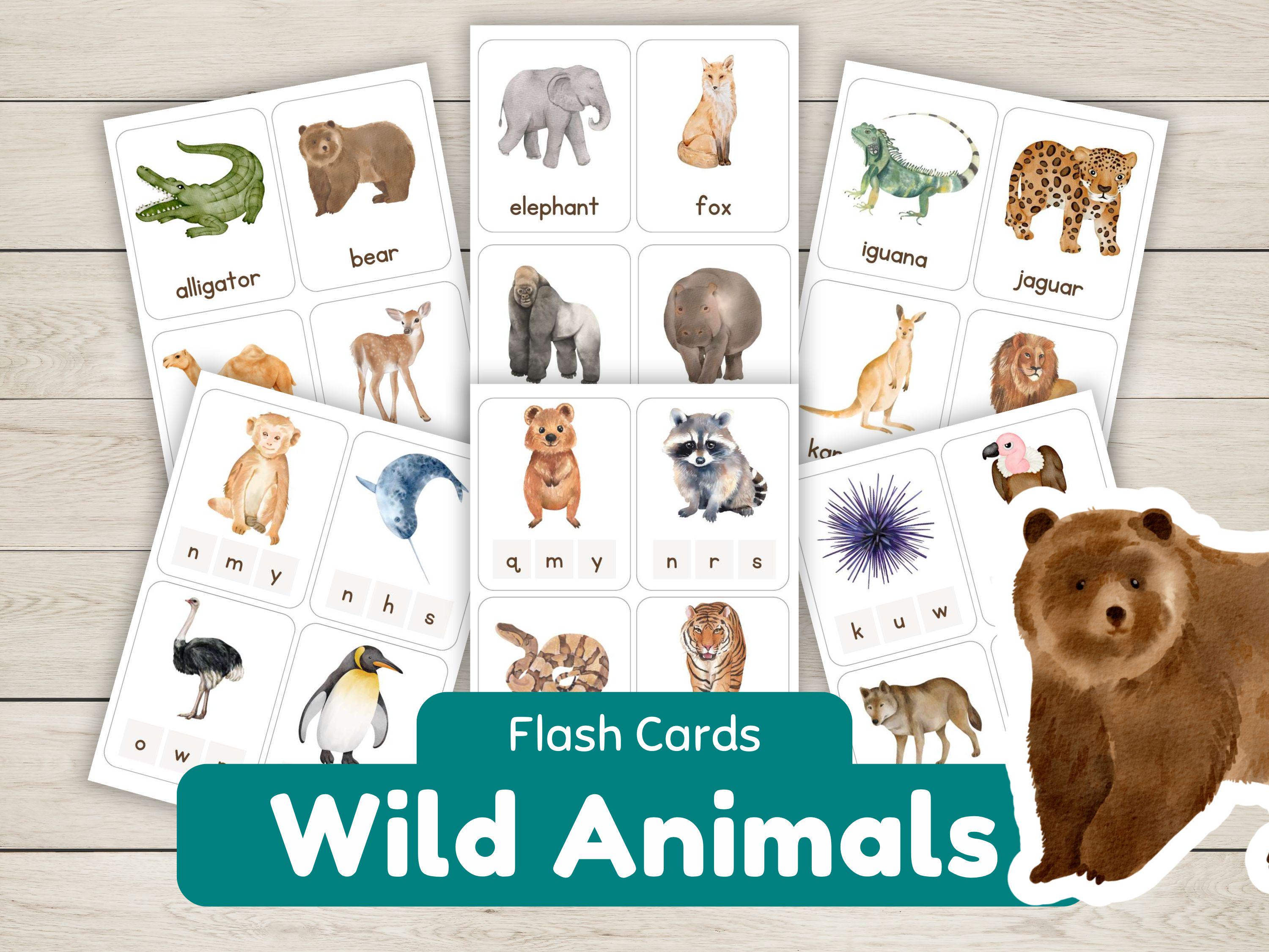 ABC Animal Flash Cards Printable Set Watercolor Design Beginning Sounds ...
