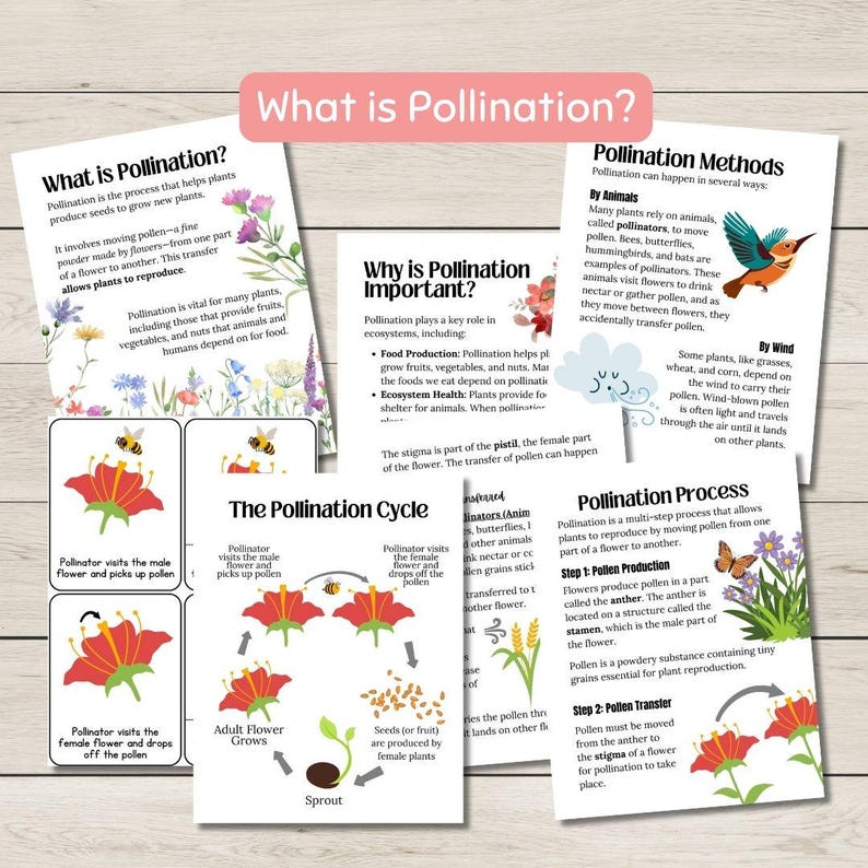 Pollination Unit Study Worksheets, Activities, 100+ Page Elementary ...