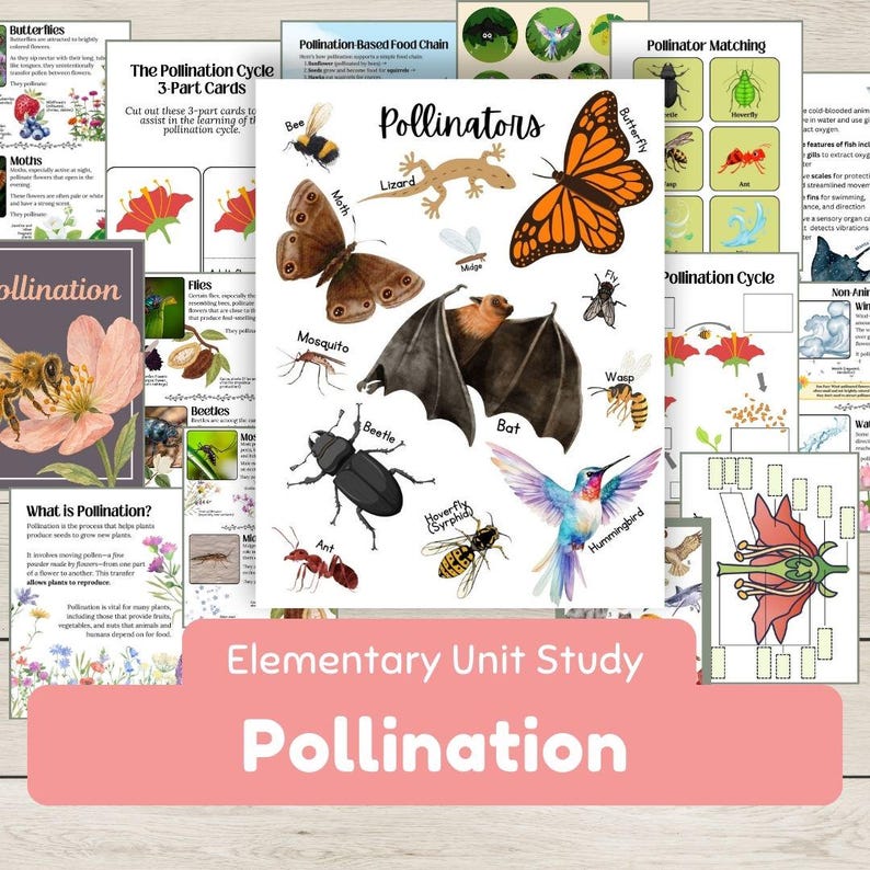Pollination Unit Study Worksheets, Activities, 100+ Page Elementary ...