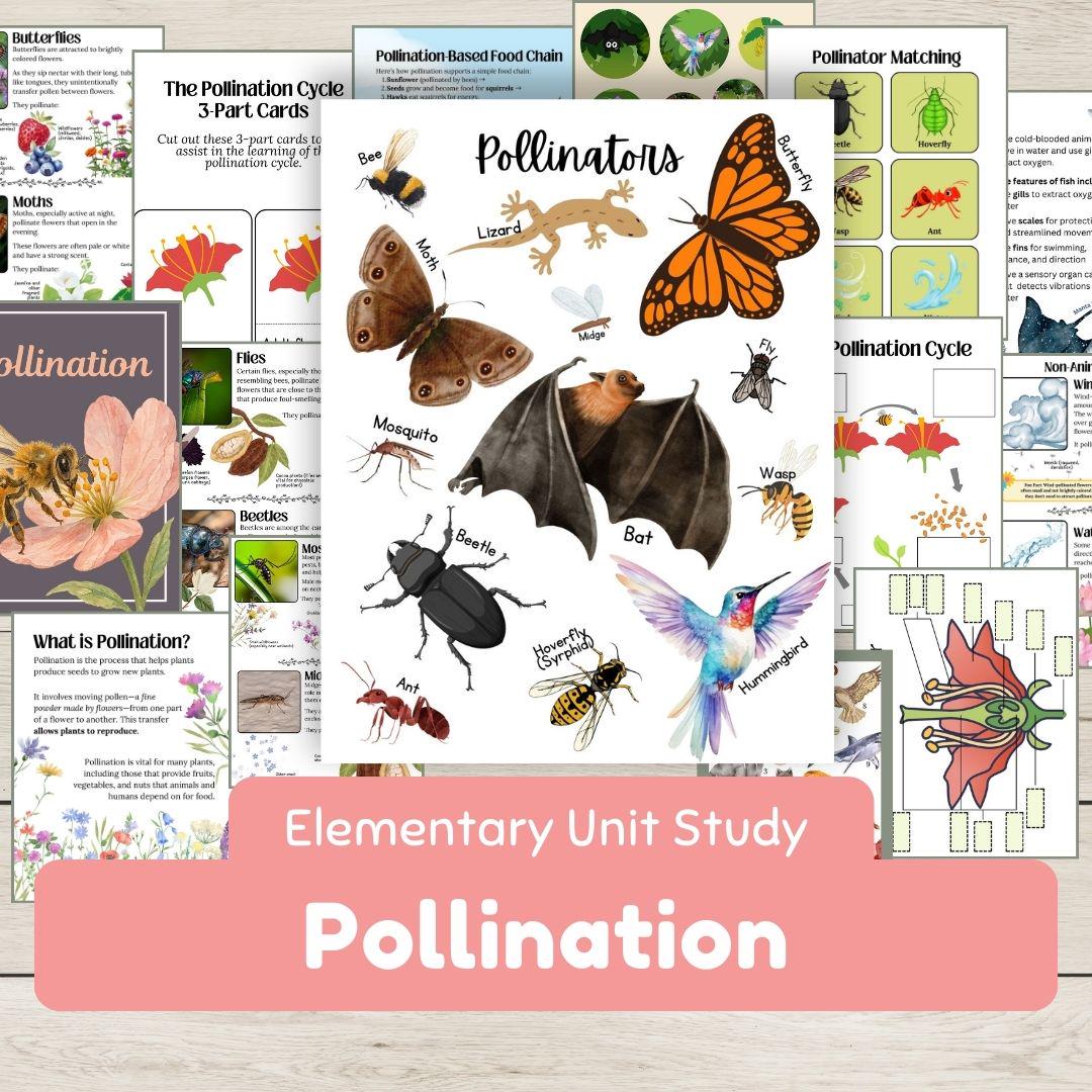 Pollination Unit Study Worksheets, Activities, 100+ Page Elementary ...