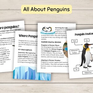 Penguin Unit Study With Comprehension Passages and Worksheets About ...