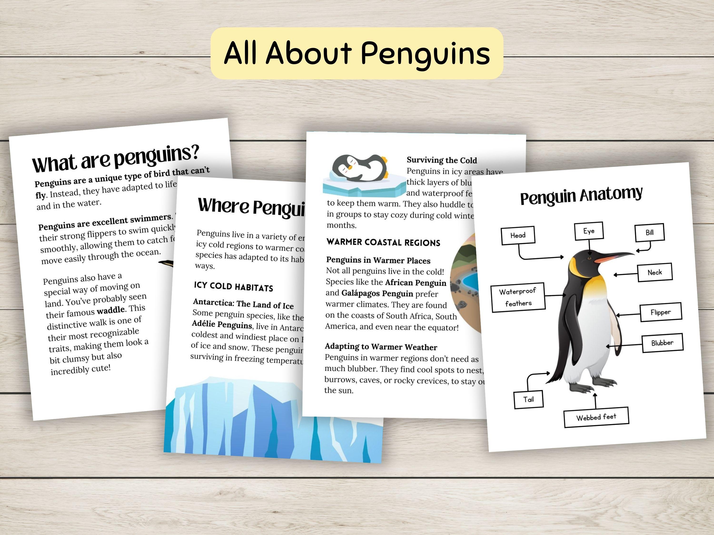 Penguin Unit Study With Comprehension Passages and Worksheets About Penguin Species Adaptations ...