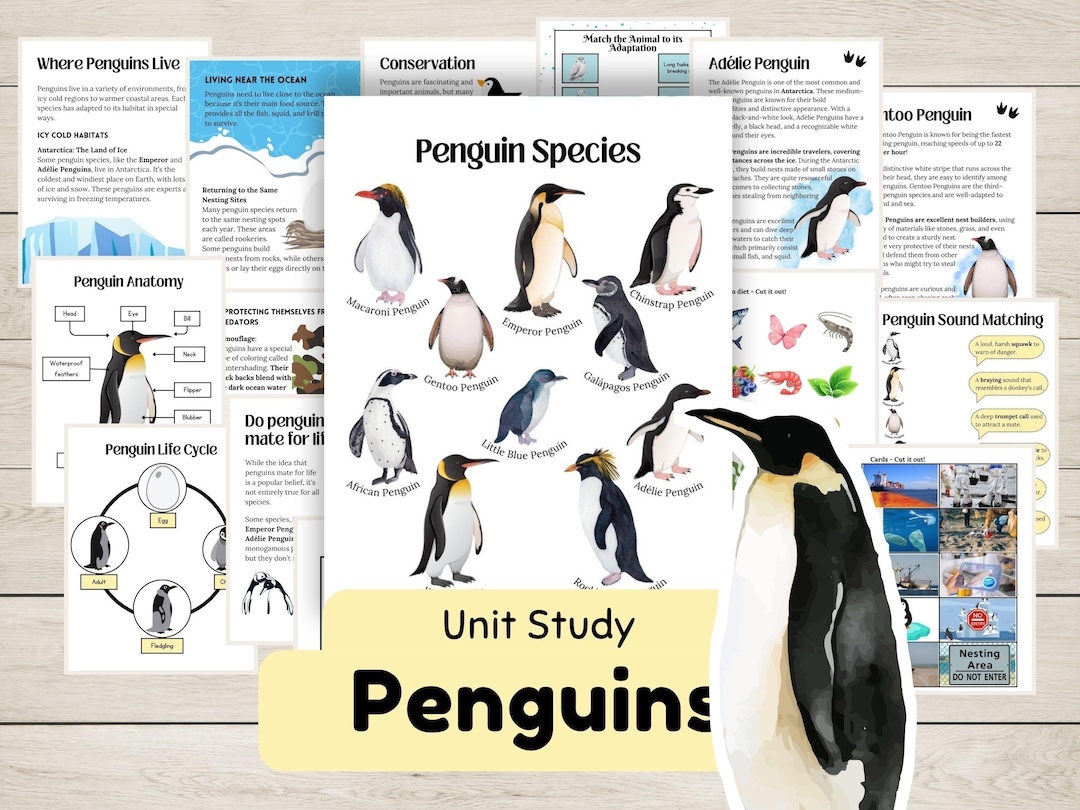 Penguin Unit Study With Comprehension Passages and Worksheets About ...