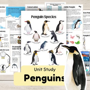Penguin Unit Study With Comprehension Passages and Worksheets About ...