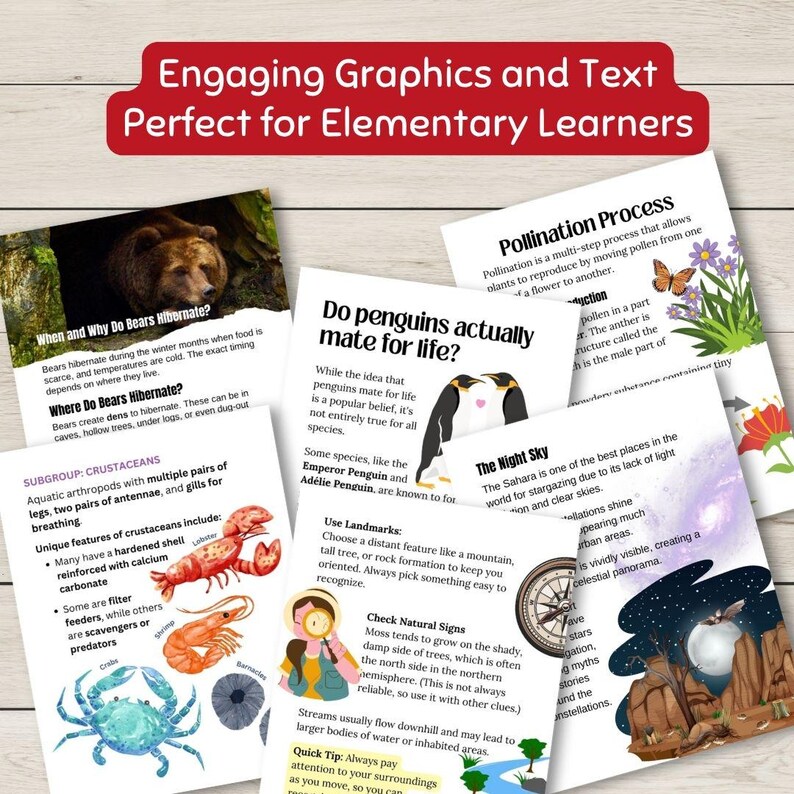 Unit Studies Bundle- Nature, Animals, Biomes, for Homeschool and ...