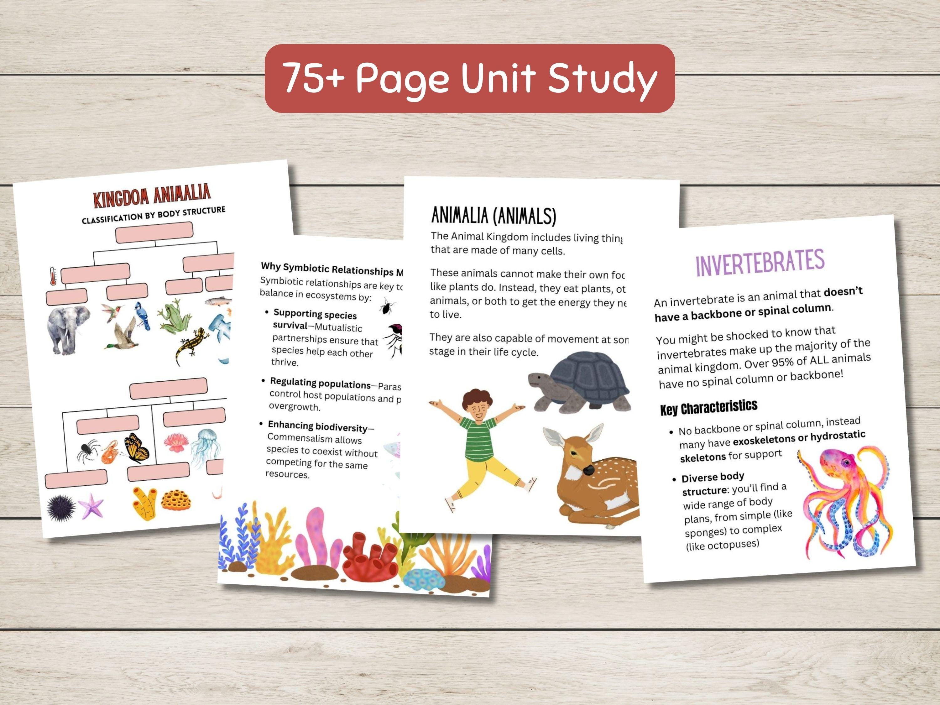 Animal Classification Unit Study Worksheets, Activities, With Classes ...