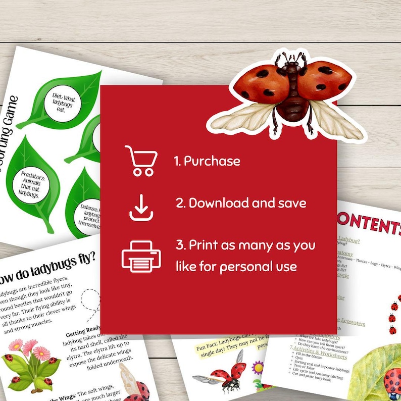 Ladybug Unit Study and Busy Book Homeschool Spring Printables Nature ...