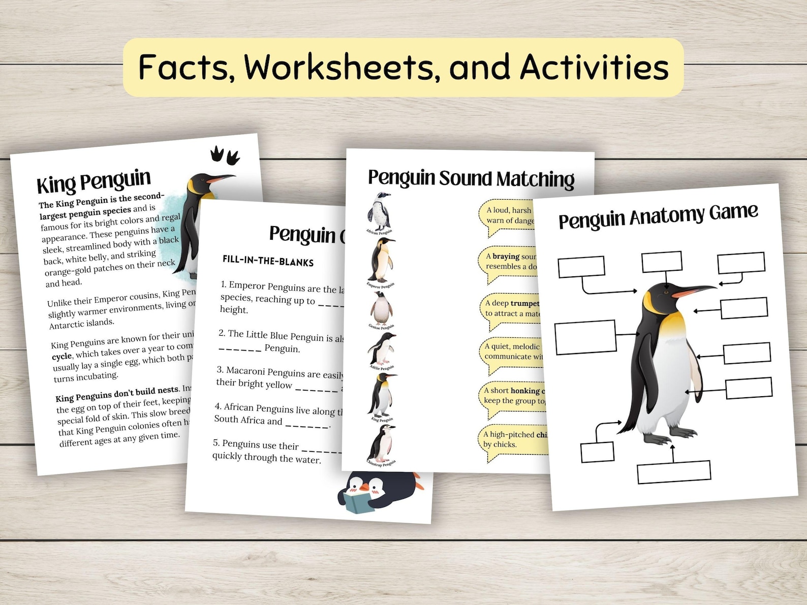 Penguin Unit Study With Comprehension Passages and Worksheets About Penguin Species Adaptations ...