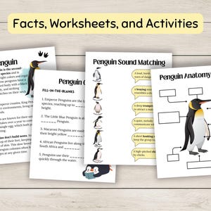 Penguin Unit Study With Comprehension Passages and Worksheets About ...