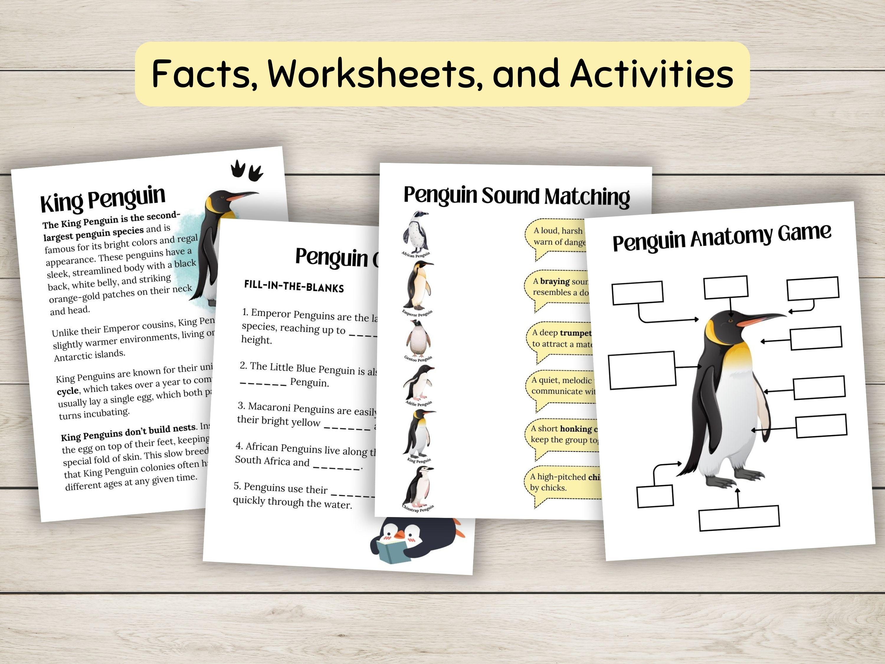 Penguin Unit Study With Comprehension Passages and Worksheets About ...